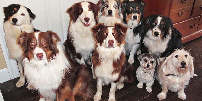 Inside Zynga Network And Its New "Big Learning Machine" - Fast Company