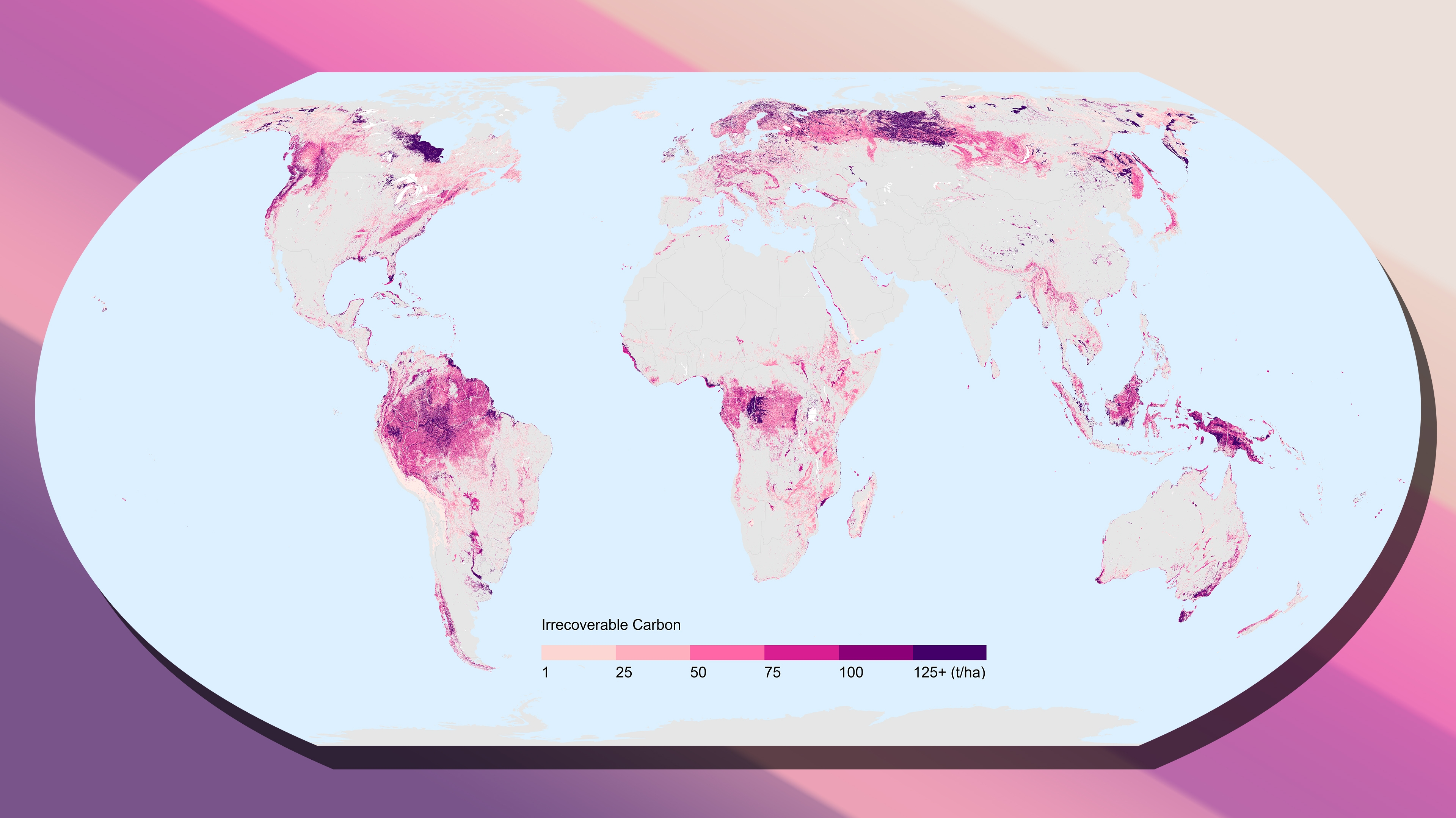 This map shows exactly where the world's most important carbon is ...