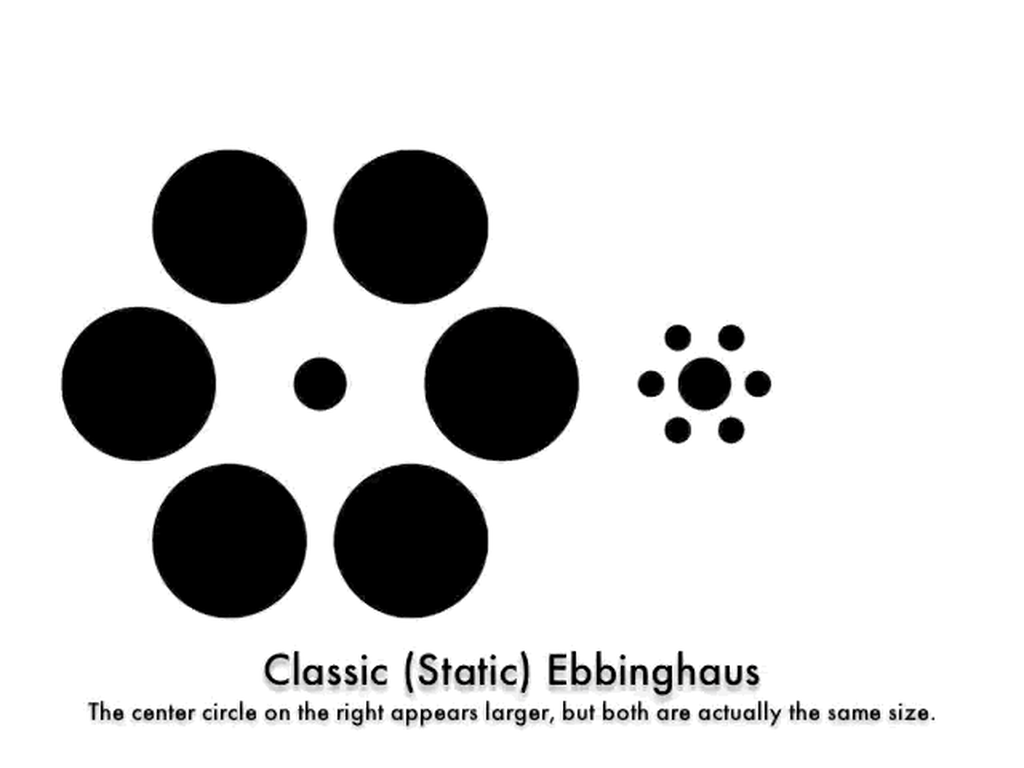 optical illusions 2014