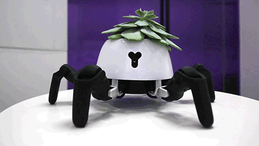 This sun-chasing robo-plant is wildly impractical, and wonderful - Fast ...