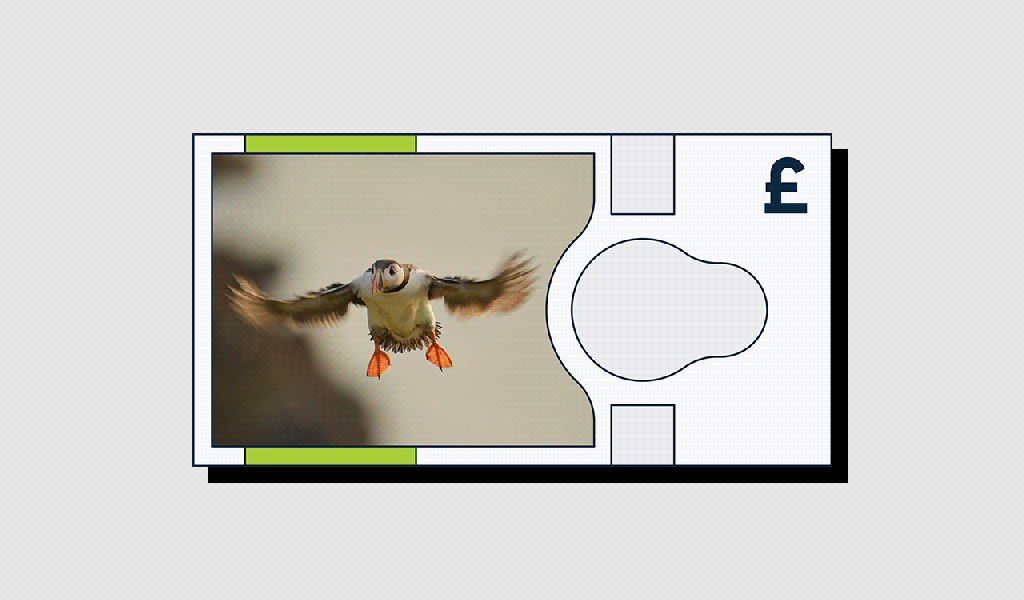 The U.K.'s next banknotes might feature cute foxes and prismatic ...