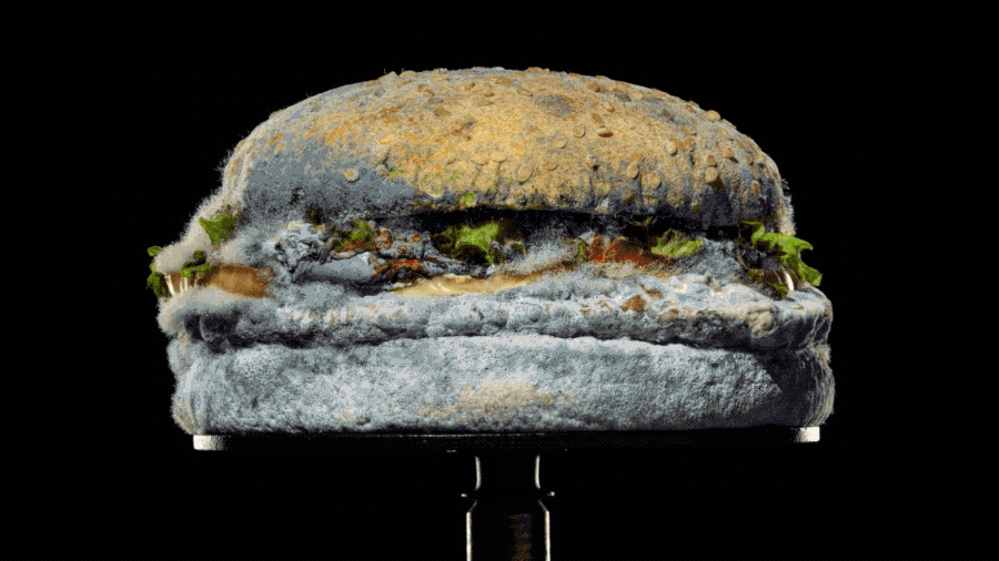 Disgusting Burger Gif