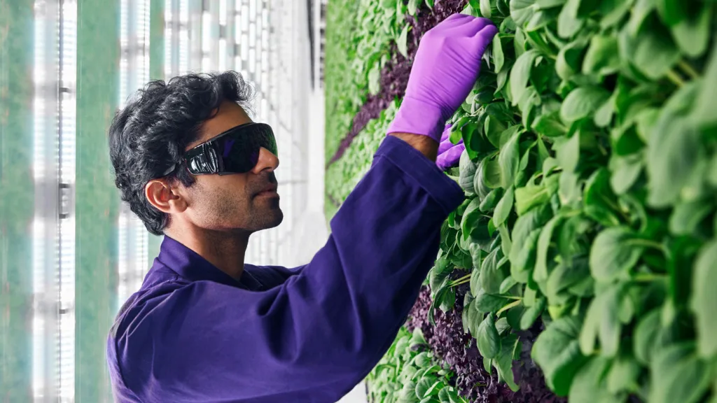 Robots are already farming crops inside this Silicon Valley warehouse ...