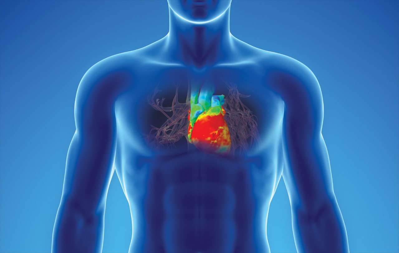 Exploring This Huge Virtual Heart Showed Me The Future Of Medicine ...