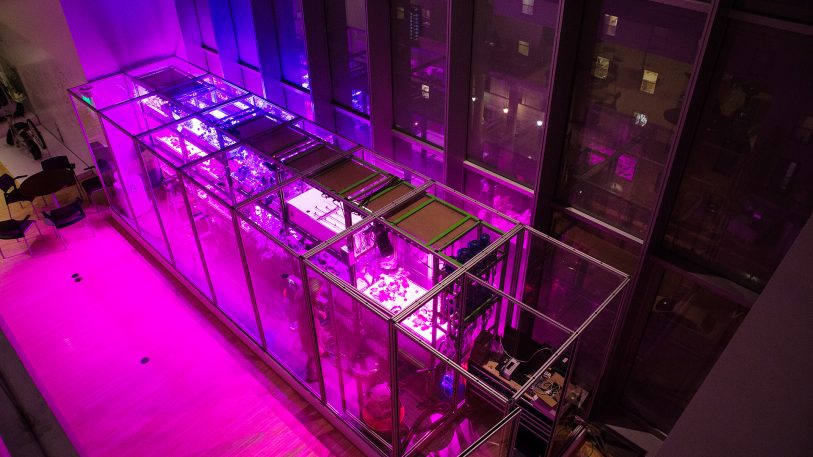 These Food Computers Use AI To Make "Climate Recipes" For The Best ...