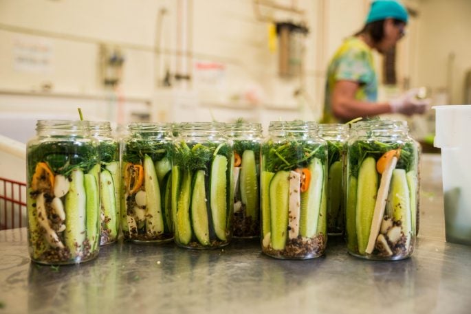 This Pickle Company Achieved Zero Food Waste By Turning Scraps Into ...