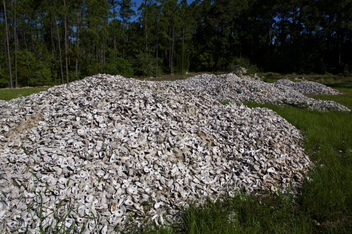 Restaurants Are Returning Their Empty Oyster Shells To The Ocean To ...
