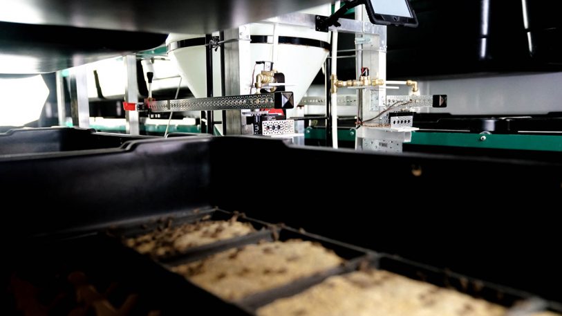 This Giant Automated Cricket Farm Is Designed To Make Bugs A Mainstream ...