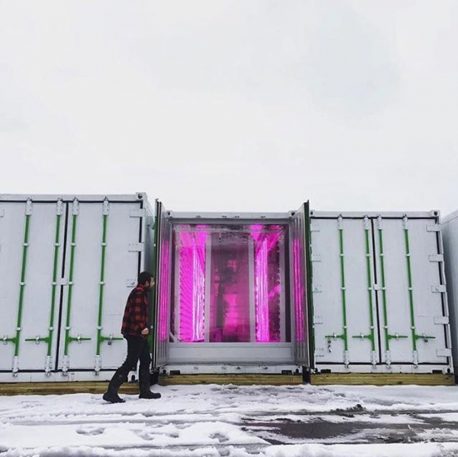 This Urban Farming Accelerator Wants To Let Thousands Of New Farms ...