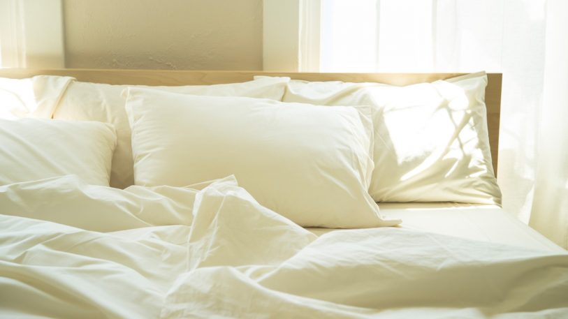 These Sheets Are Made With Just Three Things: Cotton, Rainwater, and ...