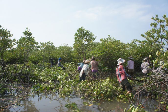 These Tree-Planting Drones Are About To Start An Entire Forest From The ...