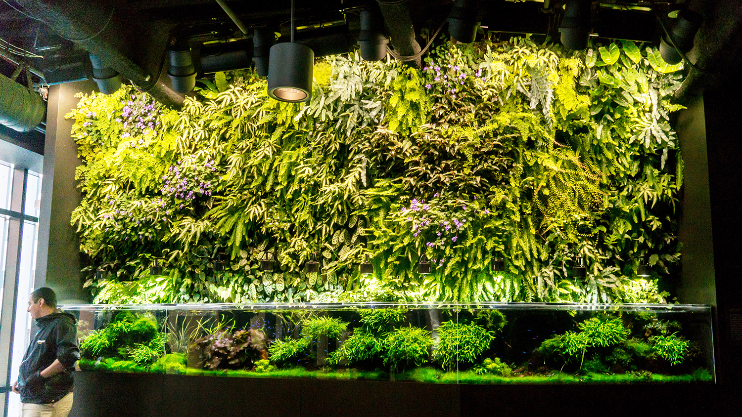 How Amazon's Nonstop Growth Is Creating A Brand-New Seattle - Fast Company