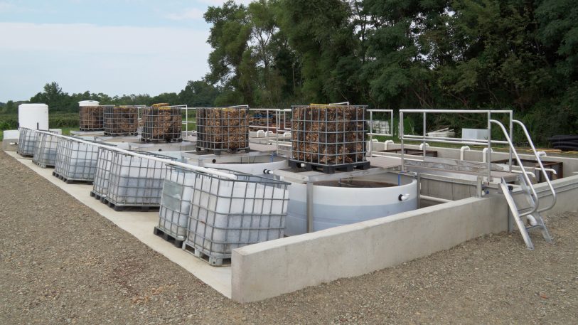 Get A Beer And Fresh Seafood At This Brewery That Feeds A Fish Farm ...