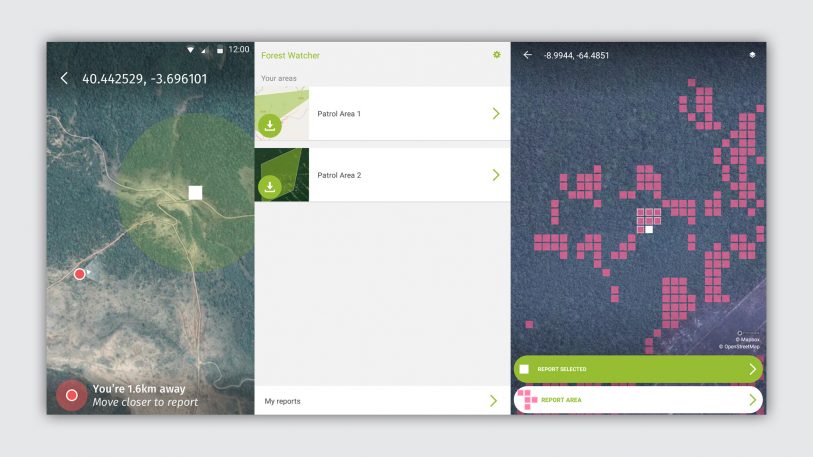 This App Helps Forest Rangers Without Internet Access Find Illegal ...