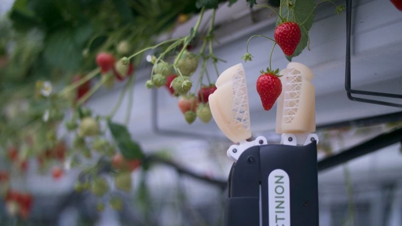 This Strawberry-Picking Robot Gently Picks The Ripest Berries With Its ...