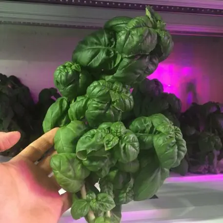These Cold-Weather Container Farms Let Produce Grow In The Arctic ...