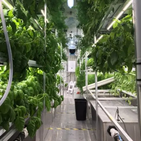 These Cold-Weather Container Farms Let Produce Grow In The Arctic ...