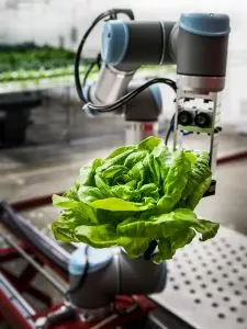 This Robot Handles The Entire Process Of Growing Lettuce By Itself ...