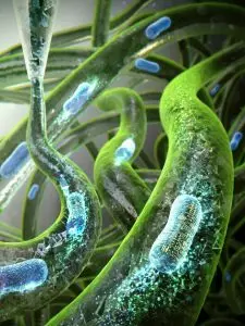 The Ink In This Tattoo Is Made Out Of Living Cells - Fast Company