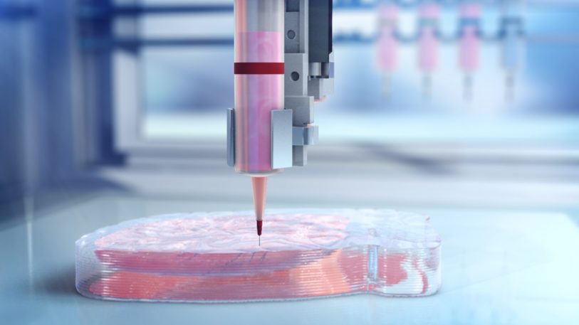 Working, Beating Hearts Will Soon Be 3D-Printed From Patients' Own ...