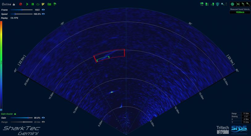 This AI-Powered Shark Detector Warns Swimmers When The Beach Isn't Safe ...