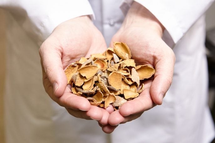 This USDA Lab Is Turning Billions Of Pounds Of Almond Waste Into Beer ...
