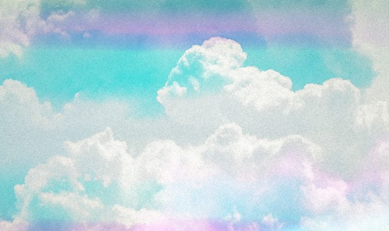 Climate positive, carbon neutral, carbon negative: What do they mean?
