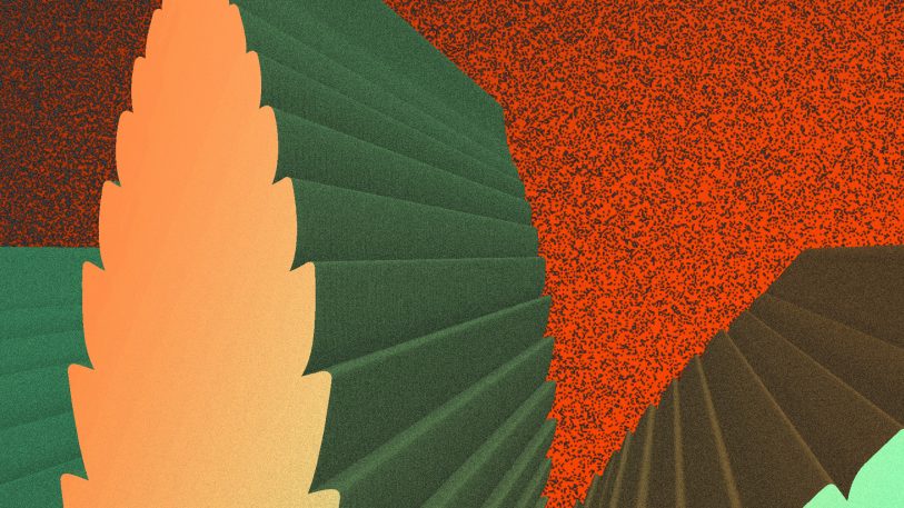 How California's legal weed has hurt the people who need it most - Fast ...