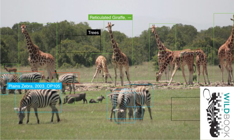 The world's animals are getting their very own Facebook - Fast Company