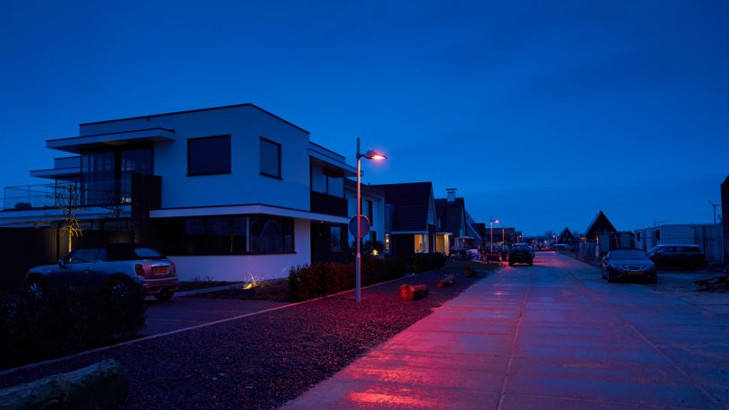 These bat-friendly lights show how to make cities safe for nature ...