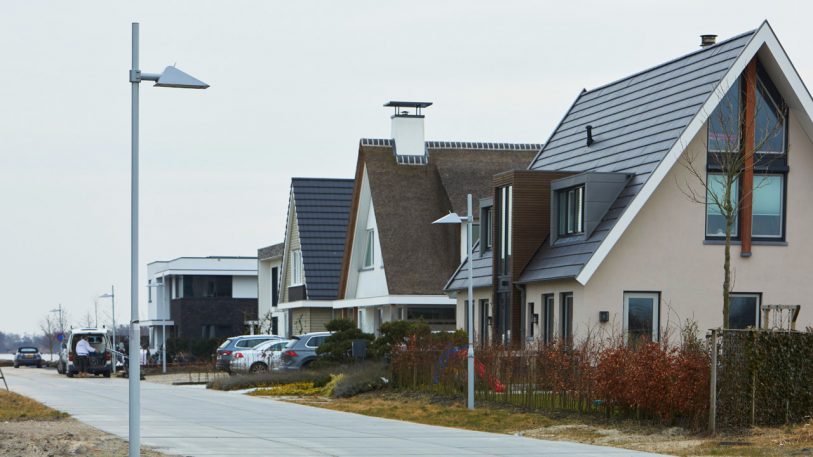 These bat-friendly lights show how to make cities safe for nature ...