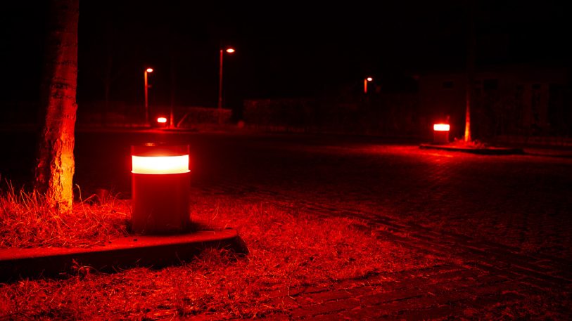 These bat-friendly lights show how to make cities safe for nature ...