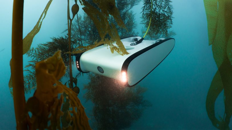 This fleet of underwater robots will help citizen scientists make the ...
