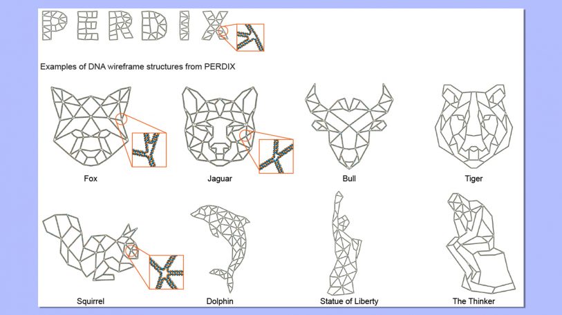 Forget AutoCAD-this app lets you design with DNA - Fast Company