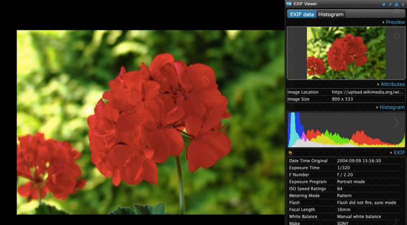How to spot fake photos online - Fast Company
