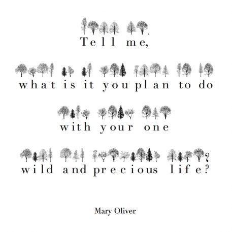 NYC is planting secret messages in parks using this typeface for trees ...