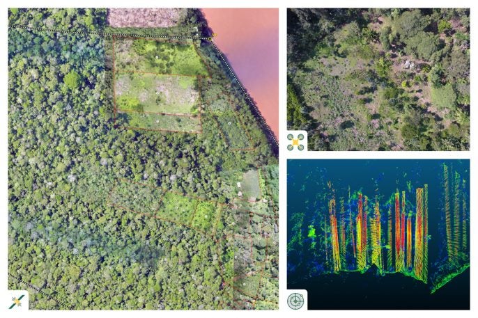 How drones and satellite images are measuring the forests used for ...