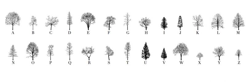 NYC is planting secret messages in parks using this typeface for trees ...