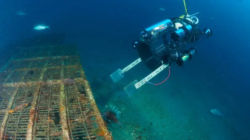 This fish-zapping robot is hunting invasive lionfish in coral reefs ...