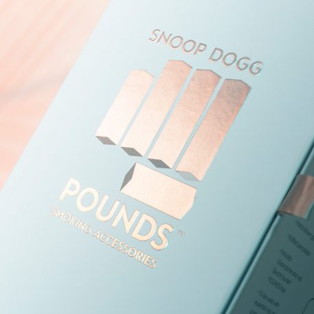 snoop dogg easter egg google