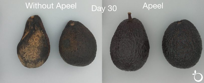 This invisible, protective coating on fruit and vegetables fights food ...