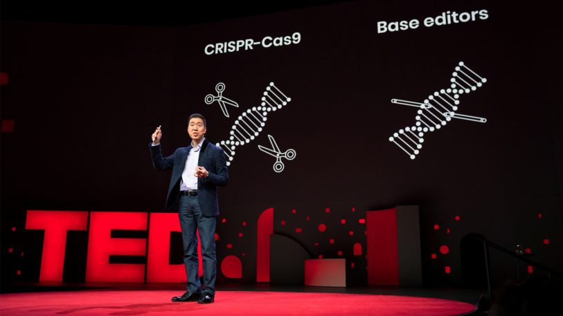 This new gene-editing method means scientists are closer to reshaping ...