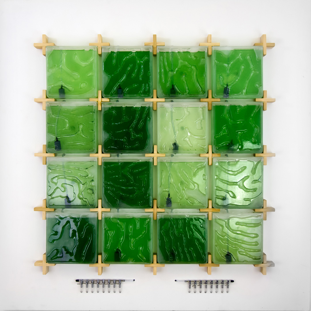 This kit makes it shockingly easy (and pretty) to farm your own algae ...
