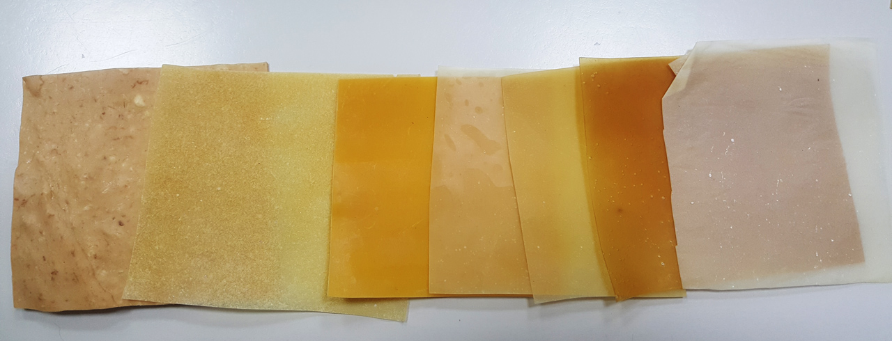 This new biodegradable plastic is made from cactus - Fast Company