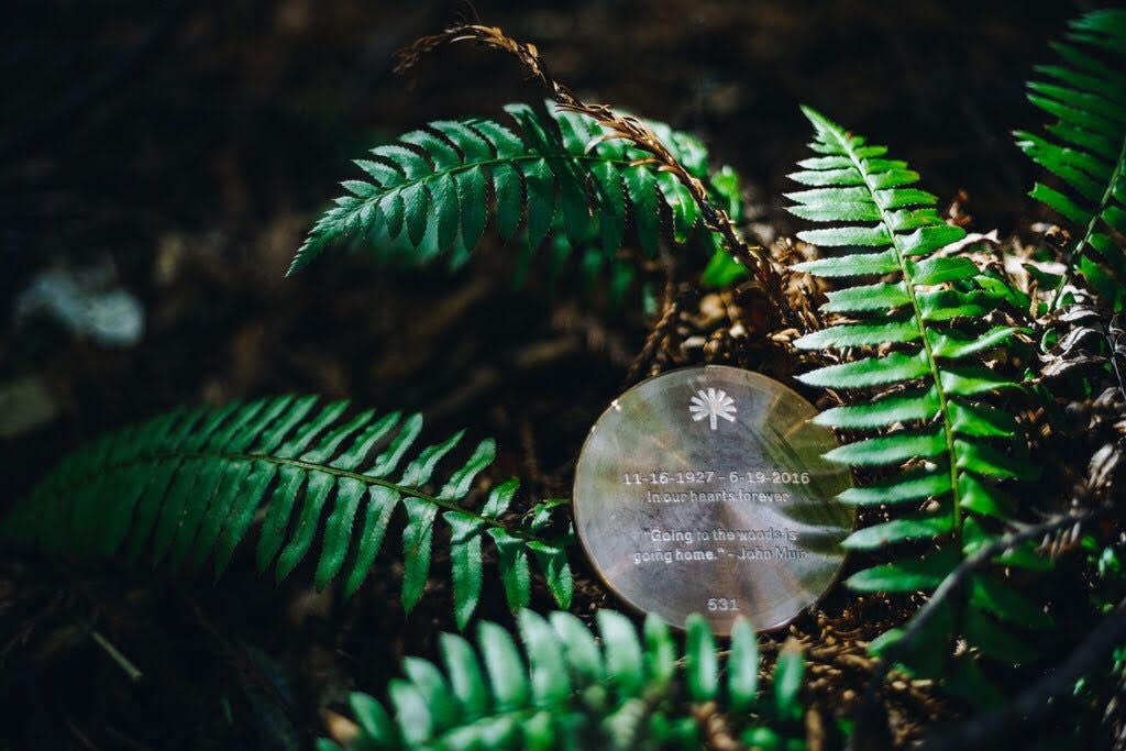 This startup is building a new kind of cemetery, and it already has ...