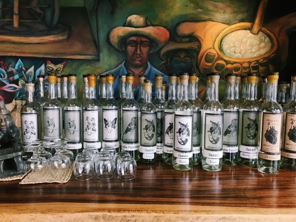 The 'Indiana Jones of mezcal' takes on Big Liquor and tries to save a ...