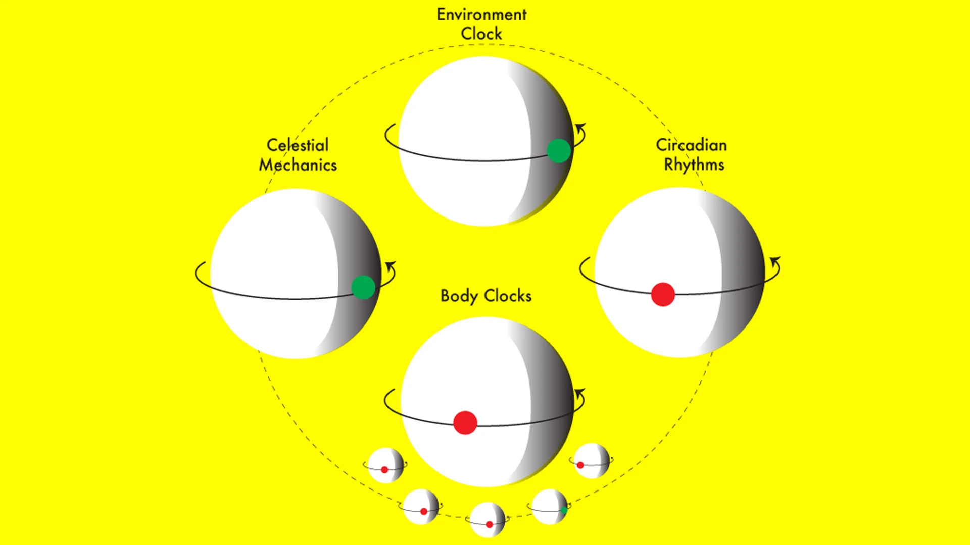 This watch app will help you reorient your life to the Earth's natural ...