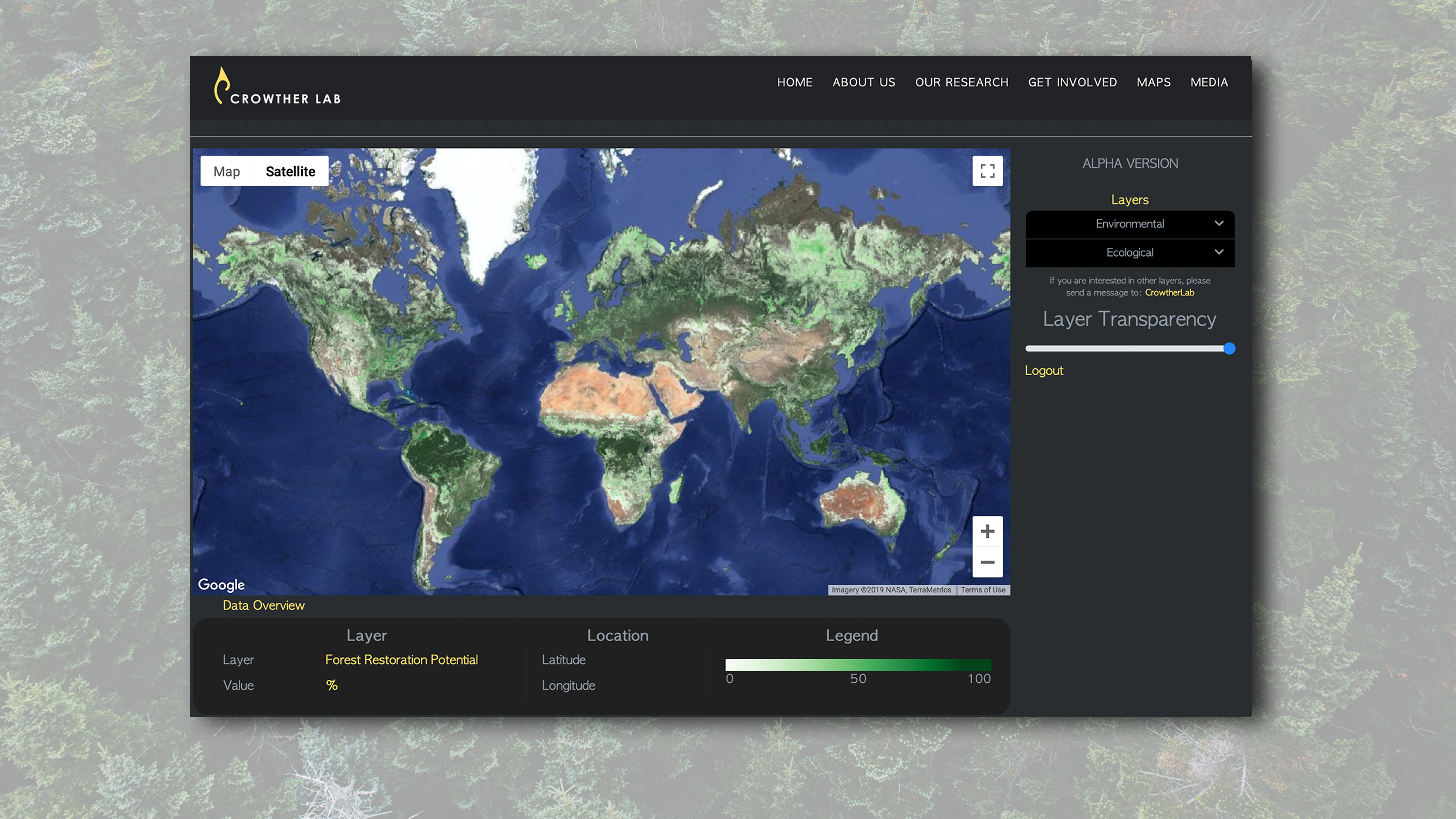 Billions of new trees could help stop climate change: Here's how we get ...