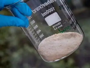 This startup created compostable plastic wrap that's made from ...