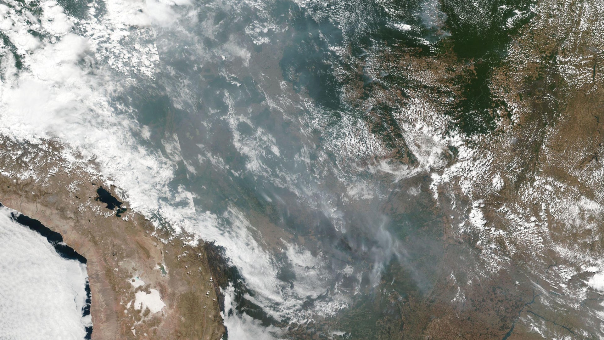 See a real-time map of all the fires burning down the Amazon - Fast Company